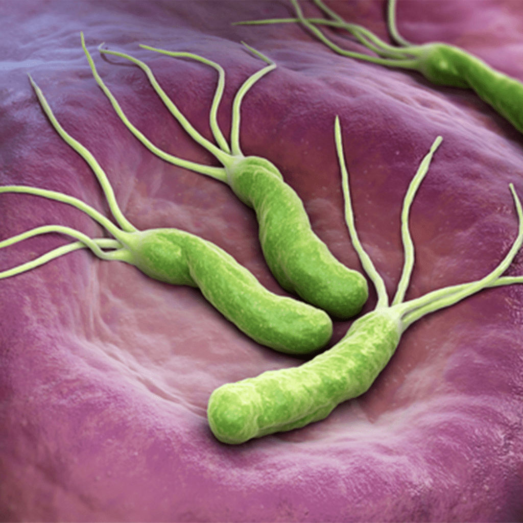 Helicobacter Pylori Stool Antigen Heicobacter